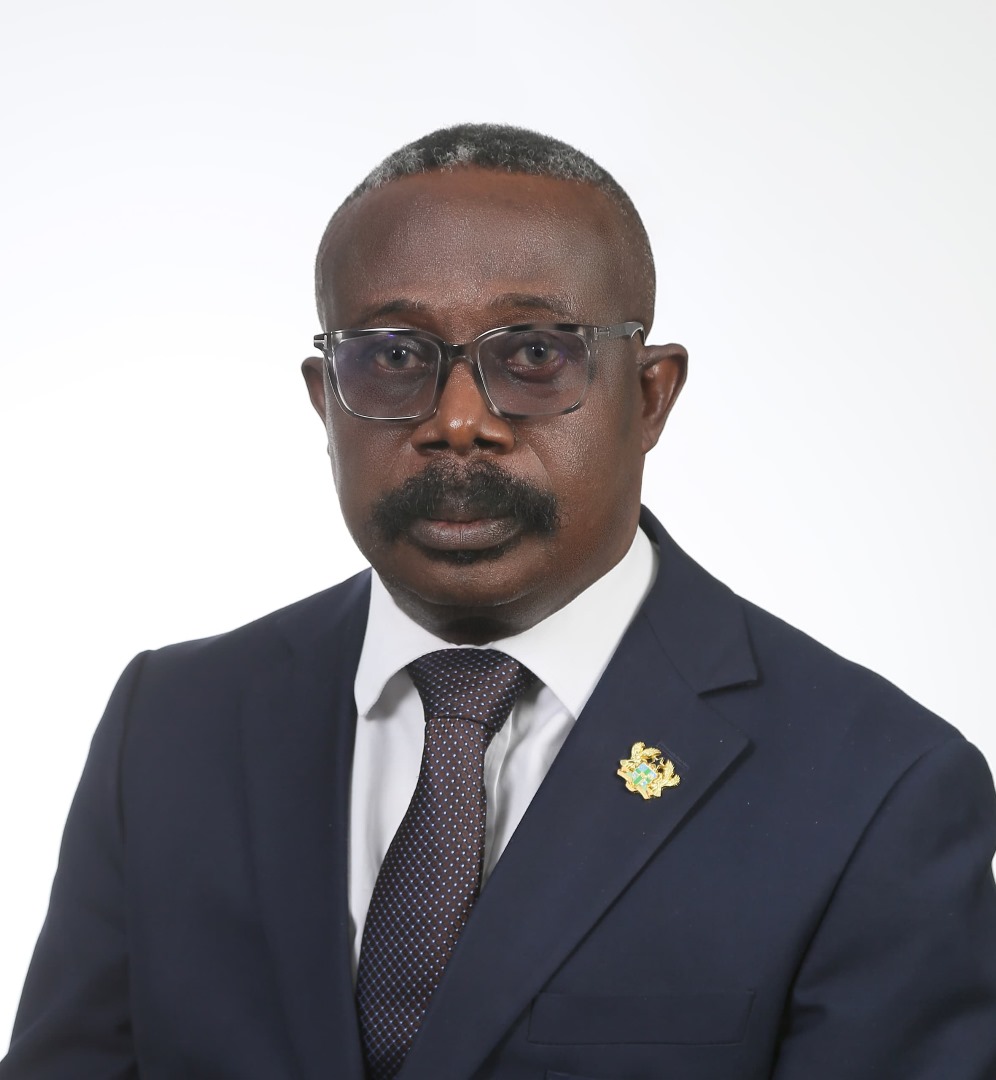 The Ambassador | Ghana Embassy - Ankara, Turkey